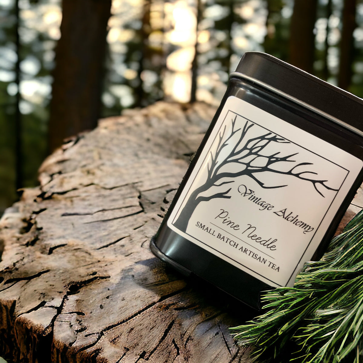 Wellness Tea | Pine Needle | Black Tea – Vintage Alchemy